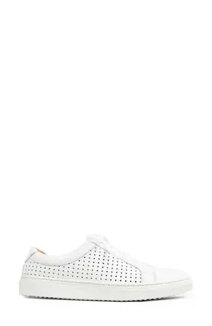 PATRICIA GREEN Ryan Perforated Leather Sneakers