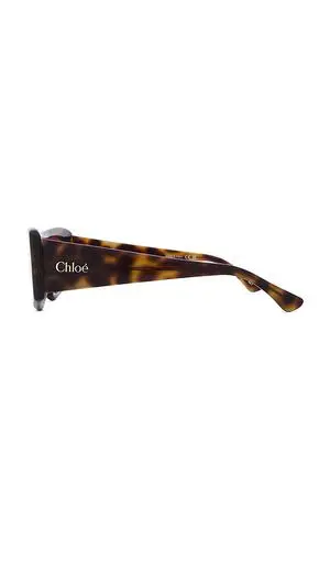 Chloé Izia Sunglasses - Havana & Violet