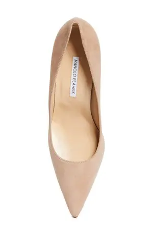 Manolo Blahnik Bb Pointed-toe Pump