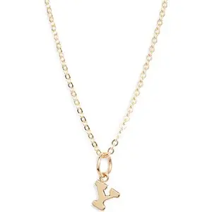 NASHELLE Nashelle Initial Pendant Necklace Gold Fill - Y