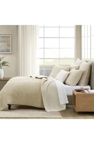 DKNY PURE Velvet Quilt & Shams Set