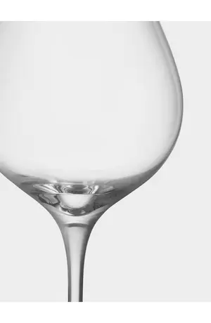 ORREFORS More Set Of 4 Pinot Wine Glasses