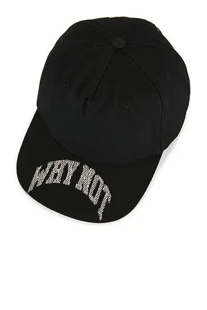 HONOR THE GIFT Why Not Cap