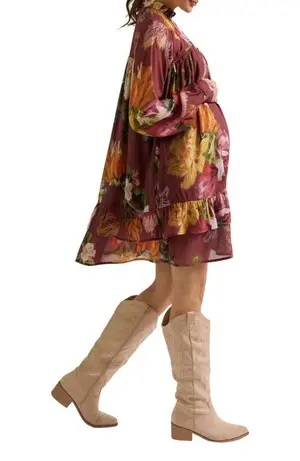 CACHE COEUR Elisabeth Maternity & Nursing Dress