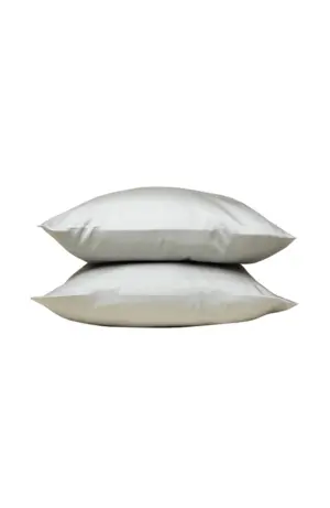 SLUMBER CLOUD Performance Tencel Pillowcases - Dove