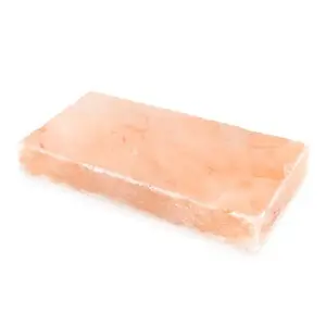 TRUE BRANDS Salty Himalayan Salt Block