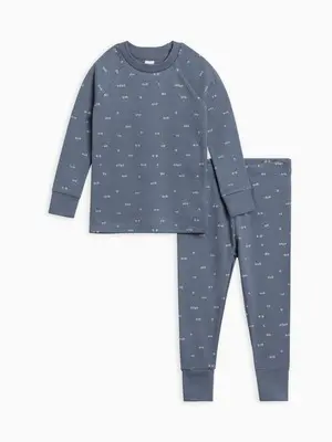 COLORED ORGANICS Organic 2-piece Long Sleeve Jammie Set - Tridot/denim + Mist