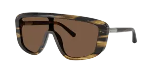 Dolce & Gabbana Sunglasses Brown