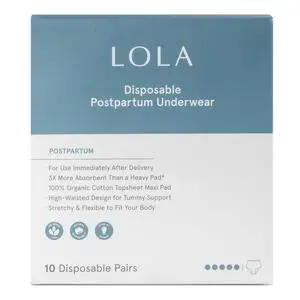 Lola Organic Cotton Postpartum Underwear