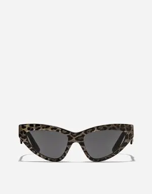 Dolce & Gabbana Printed Sunglasses - Leo Brown On Black