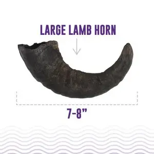 ICELANDIC+ Large Lamb Horn Dog Chew