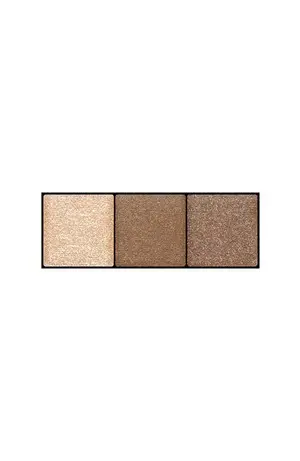 Anna Sui Makeup Collection 02 - Cool/modern Brown 02
