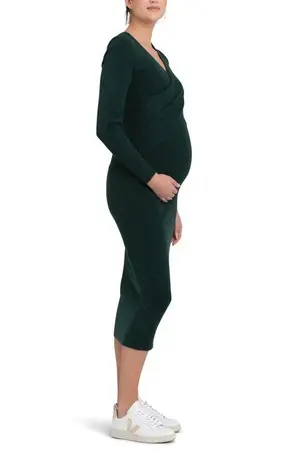 RIPE MATERNITY Heidi Long Sleeve Maternity/nursing Dress - Forest
