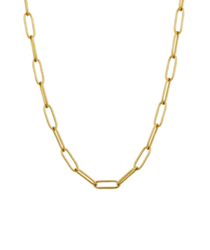 HEY HARPER Bermuda Chain Necklace - Gold