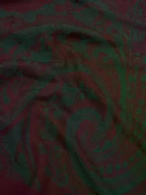 Etro Jacquard Paisley Blanket