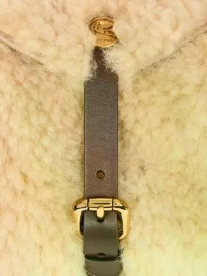 Etro Shearling Cross Body Bag - Neutrals