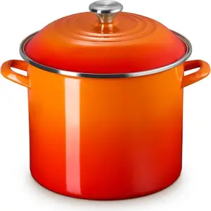 LE CREUSET Enameled Stainless Steel Stockpot - Flame