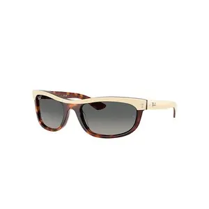 Ray-ban Balorama Sunglasses - Beige Havana