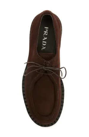 Prada Chocolate Derby