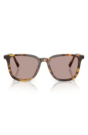 Miu Miu 53mm Square Sunglasses - Honey Havana/light Purple
