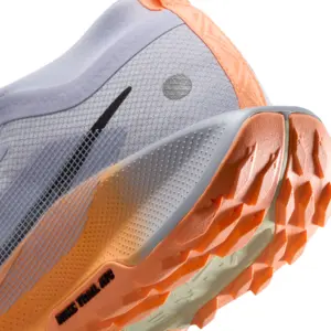 Nike Pegasus Trail Gore-tex Waterproof Trail Running Shoes
