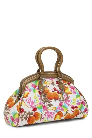 Dior Trotter Canvas Floral Frame Satchel - Multi