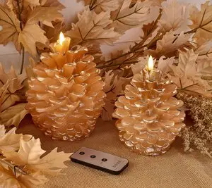 HOME REFLECTIONS As Is Home Reflection S/2 Flameless Metallic Pinecones - One-color