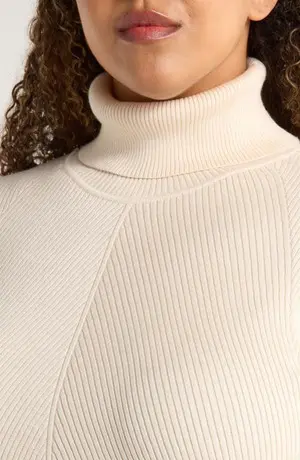 Jones New York Ribbed Turtleneck Sweater