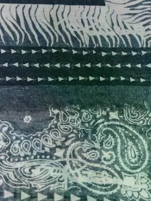 Roberto Cavalli Zebra-pattern Logo-detail Shawl