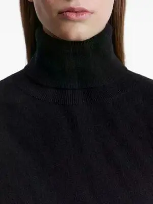 12 STOREEZ Knitted Turtleneck Sweater