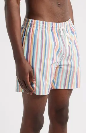 CHUBBIES Striped 5.5-inch Swim Trunks