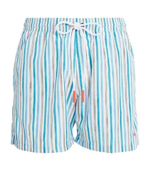 Isaia Stripe Print Swim Shorts