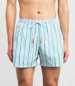 Isaia Stripe Print Swim Shorts