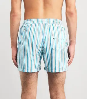 Isaia Stripe Print Swim Shorts