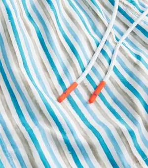 Isaia Stripe Print Swim Shorts