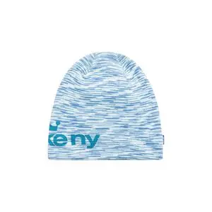 AWAKE NY Gradient Crown Logo Skully - Blue