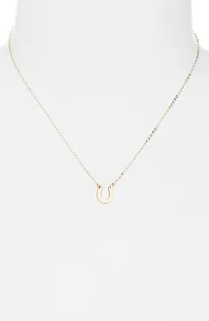 NASHELLE Horseshoe Pendant Necklace - Gold Fill