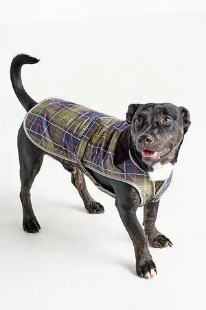 Barbour Tartan Dog Coat Jacket