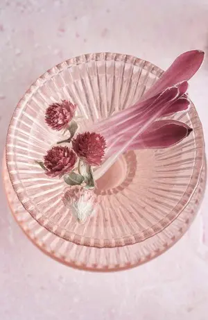 THE COLLECTIVE HOME Pressed Pink Martini Glassesset Of 4