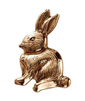 Free People Rabbit Silhouette Pin Rabbit