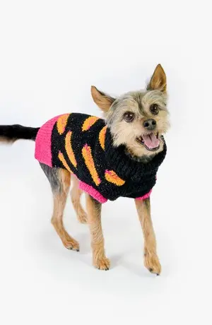 THE FURRYFOLKS Hot Doggie Turtleneck Pet Sweater