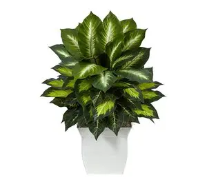 NEARLY NATURAL 2' Golden Dieffenbachia Plant In Planter - One-color