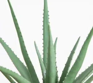 NEARLY NATURAL 17.5' Artificial Agave Plant
