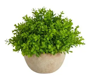 NEARLY NATURAL 5' Boxwood Plant In Decorative P Lanter - One-color