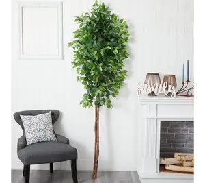 NEARLY NATURAL 6' Artificial Double Trunk Ficus Tree