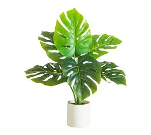 NEARLY NATURAL 20' Artificial Swiss Monstera Pl Ant - One-color