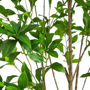 NEARLY NATURAL 8' Artificial Minimalist Japanese Pieris Tree