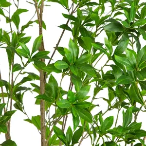 NEARLY NATURAL 8' Artificial Minimalist Japanese Pieris Tree