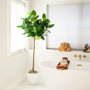NEARLY NATURAL 5' Artificial Petite Audrey Ficus Tree