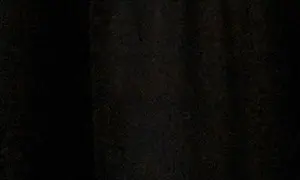 BILLY T Floral Print Maxi Skirt - Black Lake